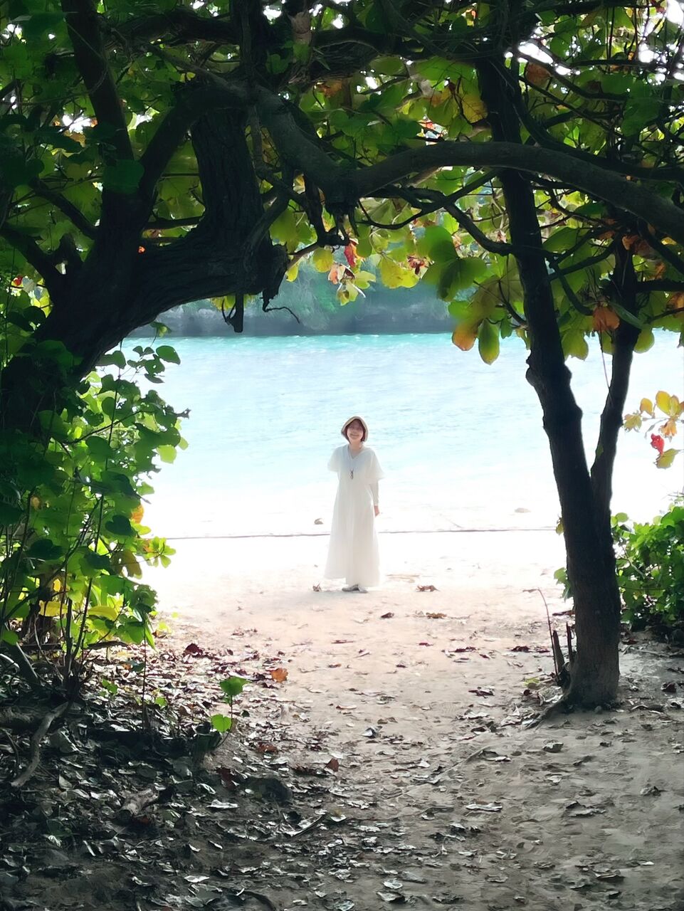 ChieArt Diary : 龍神からのメッセージ