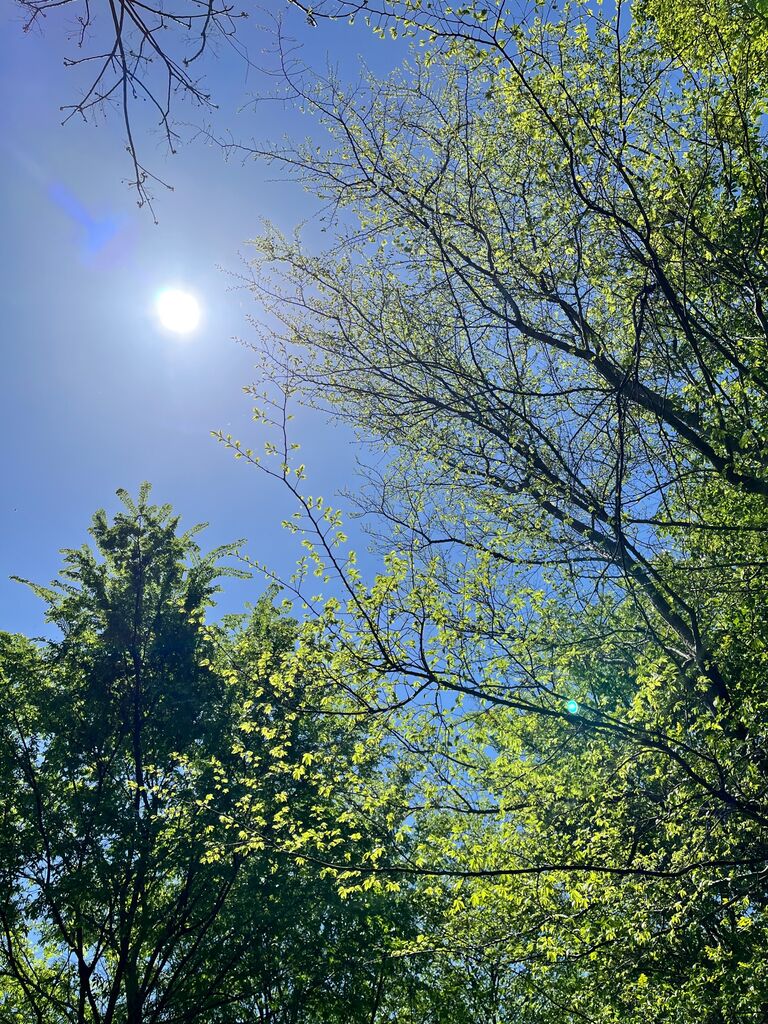 ChieArt Diary : あなたが残したもの