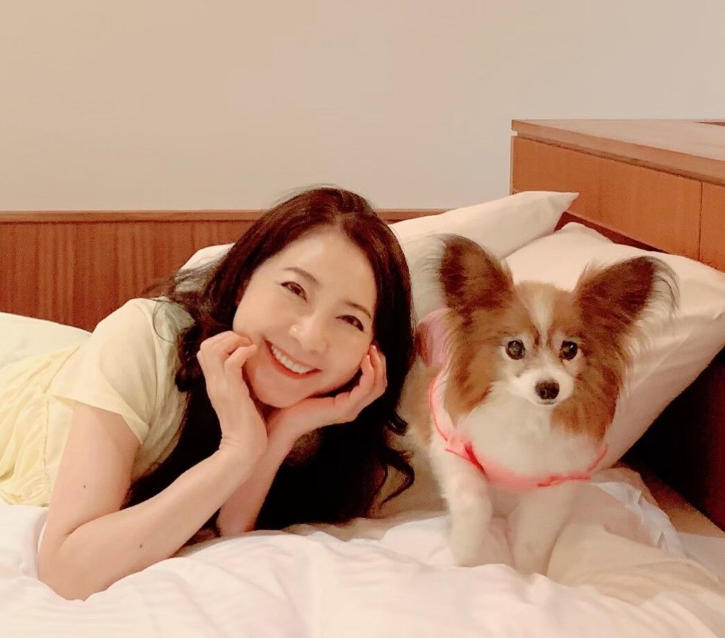 ChieArt Diary : 色々あった2020年