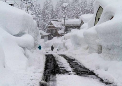 Great cold in Japan : Japanese Language and Culture