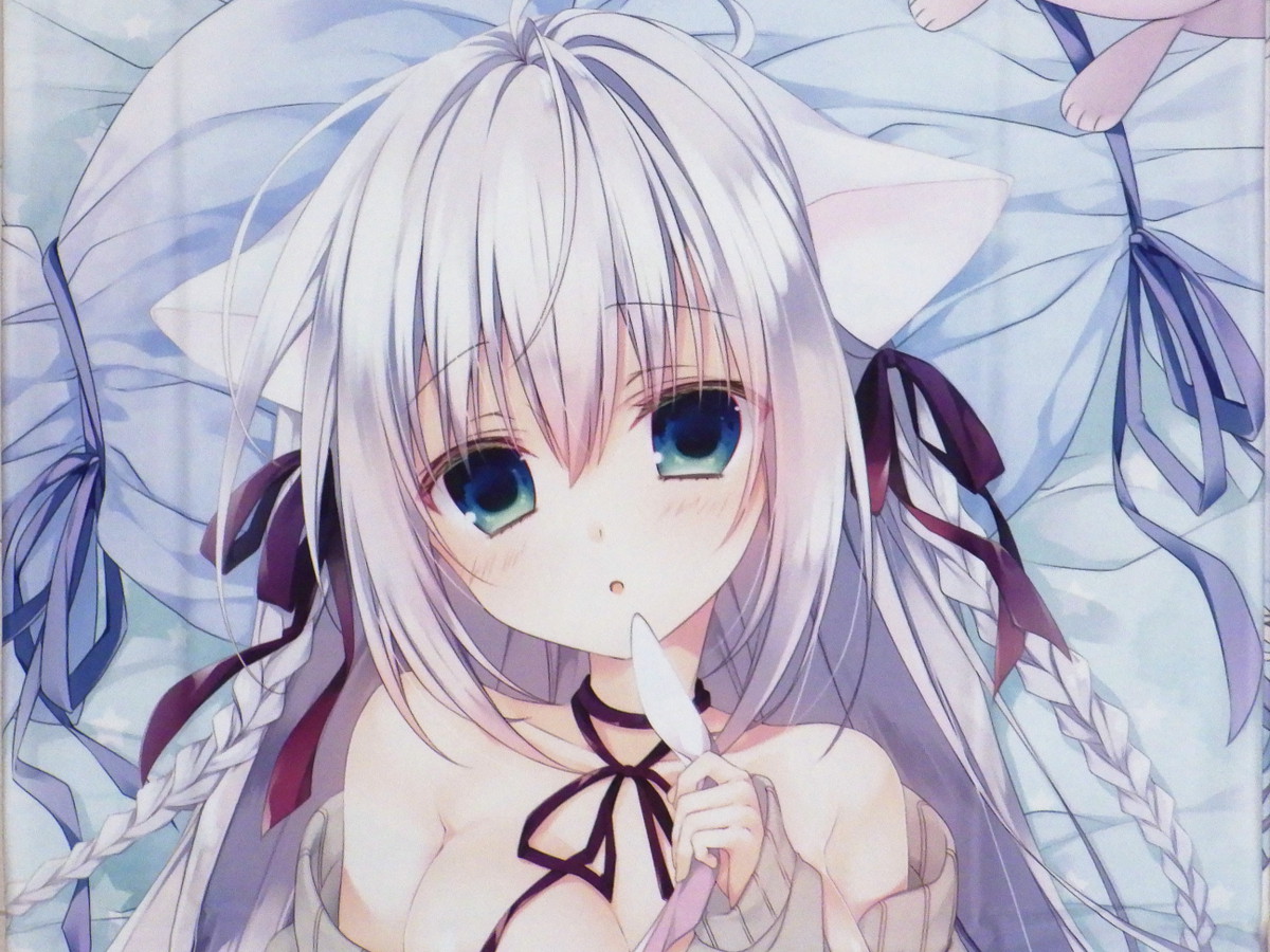 超適当なブログ 2.0 : COMIC1☆13 NECOTOXIN オリジナル 抱き枕カバー（特価品） レビュー