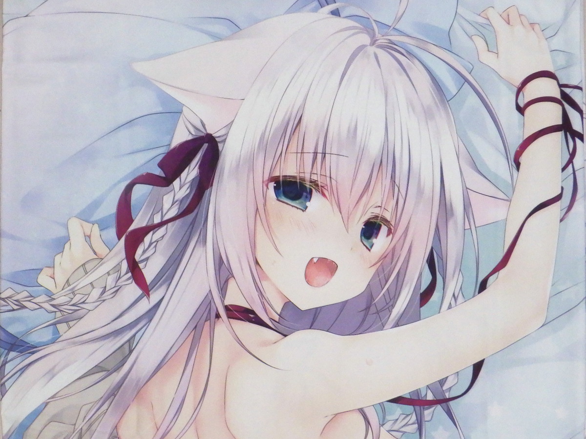 超適当なブログ 2.0 : COMIC1☆13 NECOTOXIN オリジナル 抱き枕カバー（特価品） レビュー