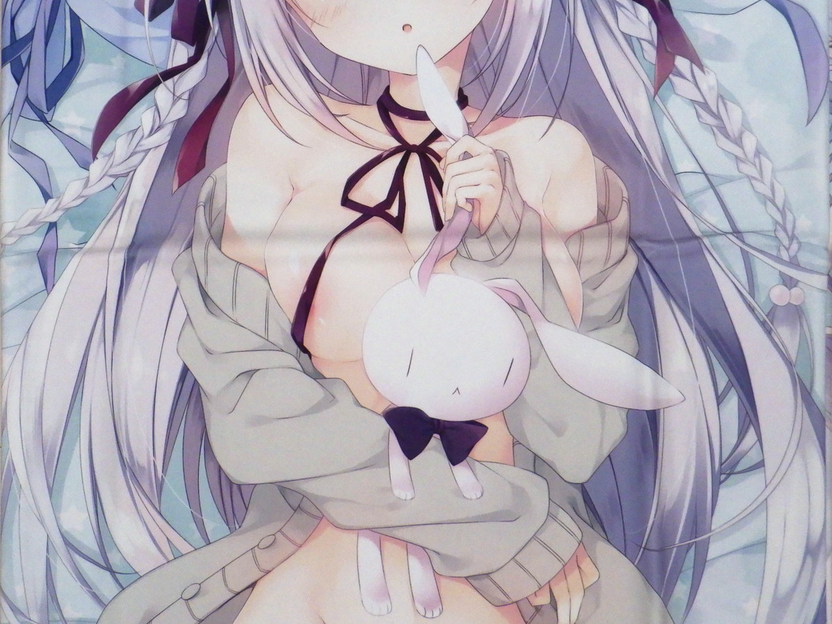 超適当なブログ 2.0 : COMIC1☆13 NECOTOXIN オリジナル 抱き枕カバー（特価品） レビュー