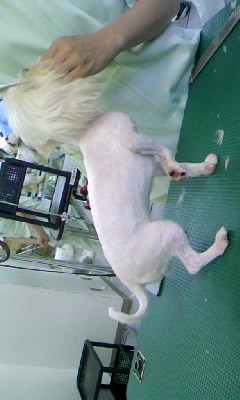 豪放磊落。:惜しくも2位 - livedoor Blog（ブログ）