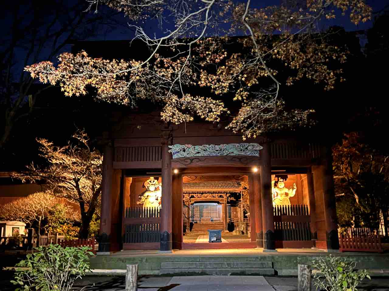 おやぢのつまらない日記:今朝も鎌倉へ - livedoor Blog（ブログ）