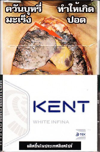 KENT WHITE INFINA(ケント・ホワイト・インフィニア) : 森 康哲の煙草コレクション