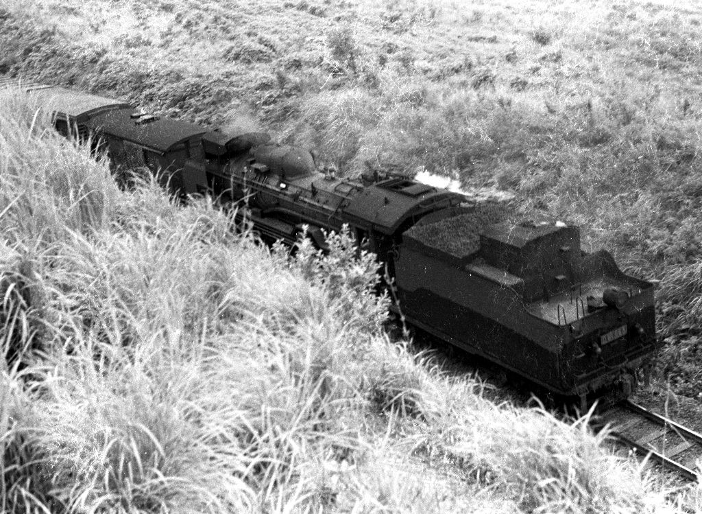 D51668 後補機で大畑ループを下る : チャーリーマイクの蒸気機関車