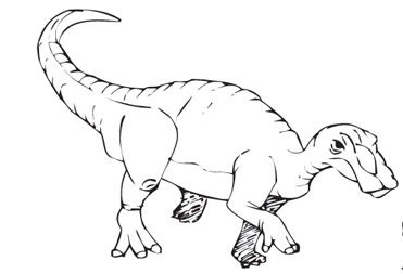 Dinosaurs Hadrosaurus - Information and Coloring Pages : Coloring Pages ...
