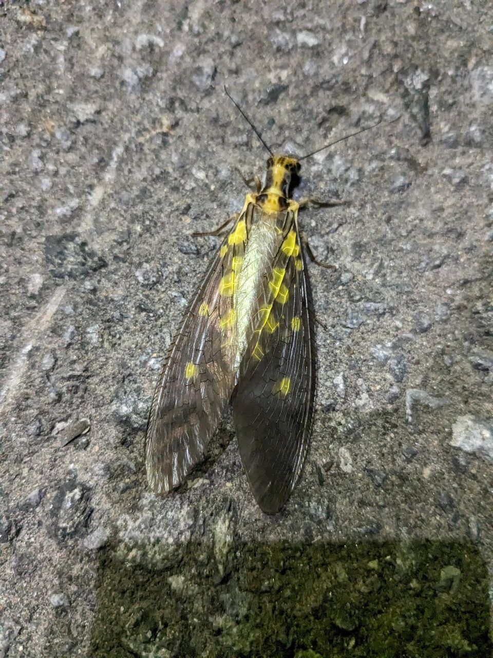 【生活】行って来た!! 夜のダム!! : WEB:アーカイブ