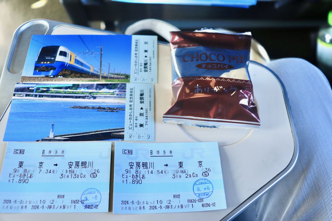 BOSO VIEW EXPRESS 255系「ビューわかしお」で再び電車旅へ(5)今、万感の思いを込めて列車が行く : アコードワゴンと ...