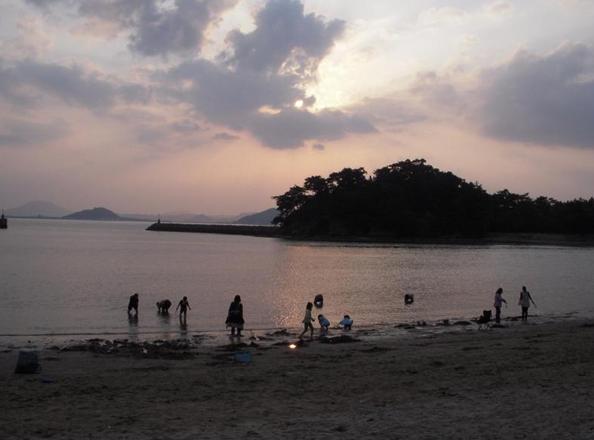 福岡 春の風物詩 : SUNLIFE HOTEL What's NEW!