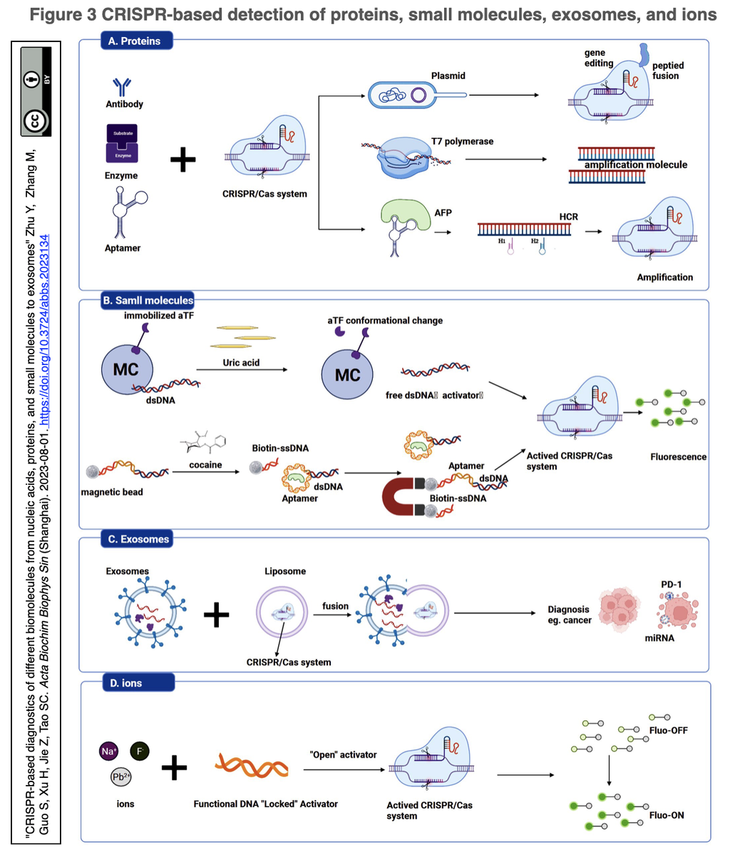 CRISPR Dx (CRISPRをベースとする検出・診断法) 解説図表集 : crisp_bio