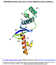 抗CRISPRタンパク質AcrIIC5の構造バリアントは同一Cas9を標的とするが, それぞれ異なる界面を介して相互作用する : crisp_bio