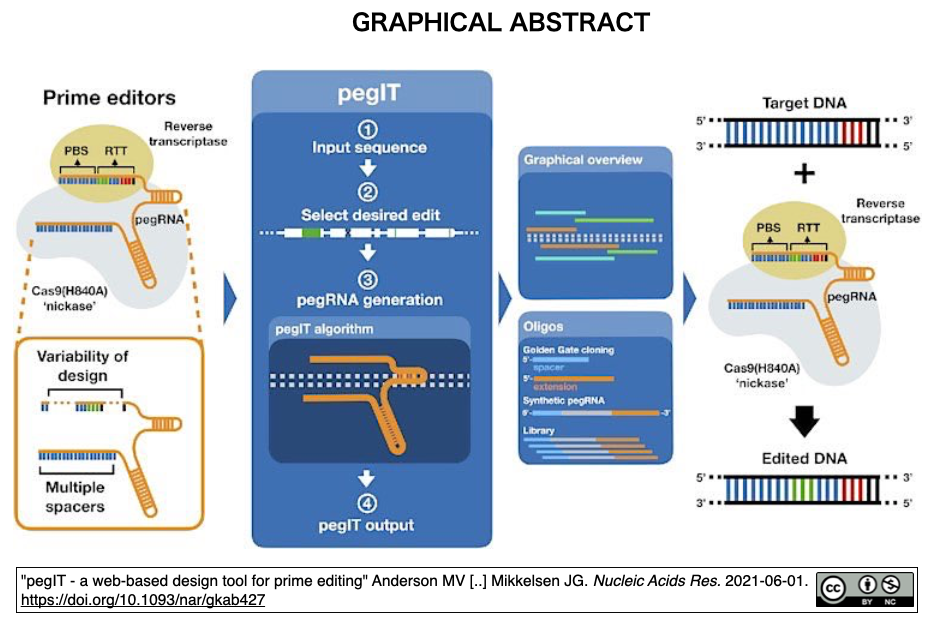 pegIT : プライムエディティング (PE)のガイドRNA (pegRNA)設計支援Webツール : crisp_bio