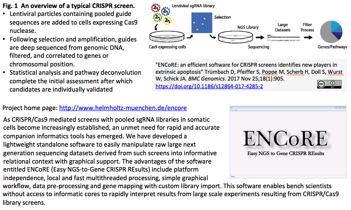 CRISPRメモ_2017/11/29-2（個別化編集、精密挿入など7件） : crisp_bio