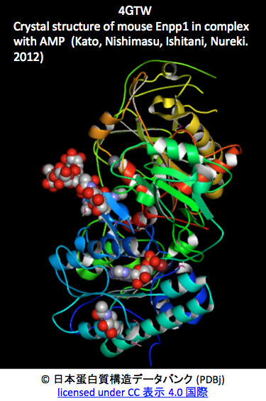 [PDIS]コリン特異的グリセロホスホジエステル・ホスホジエステラーゼ、ENPP6、の構造と生物的機能 : crisp_bio