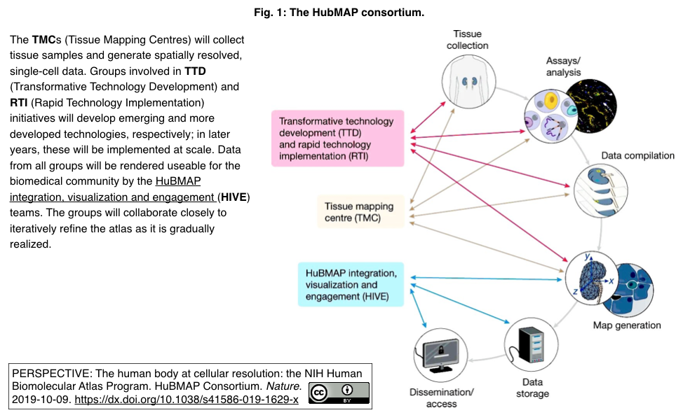 [展望] NIHヒト生体分子アトラス・プログラム、一細胞分解能のヒトボディー3Dマップを目指す : crisp_bio
