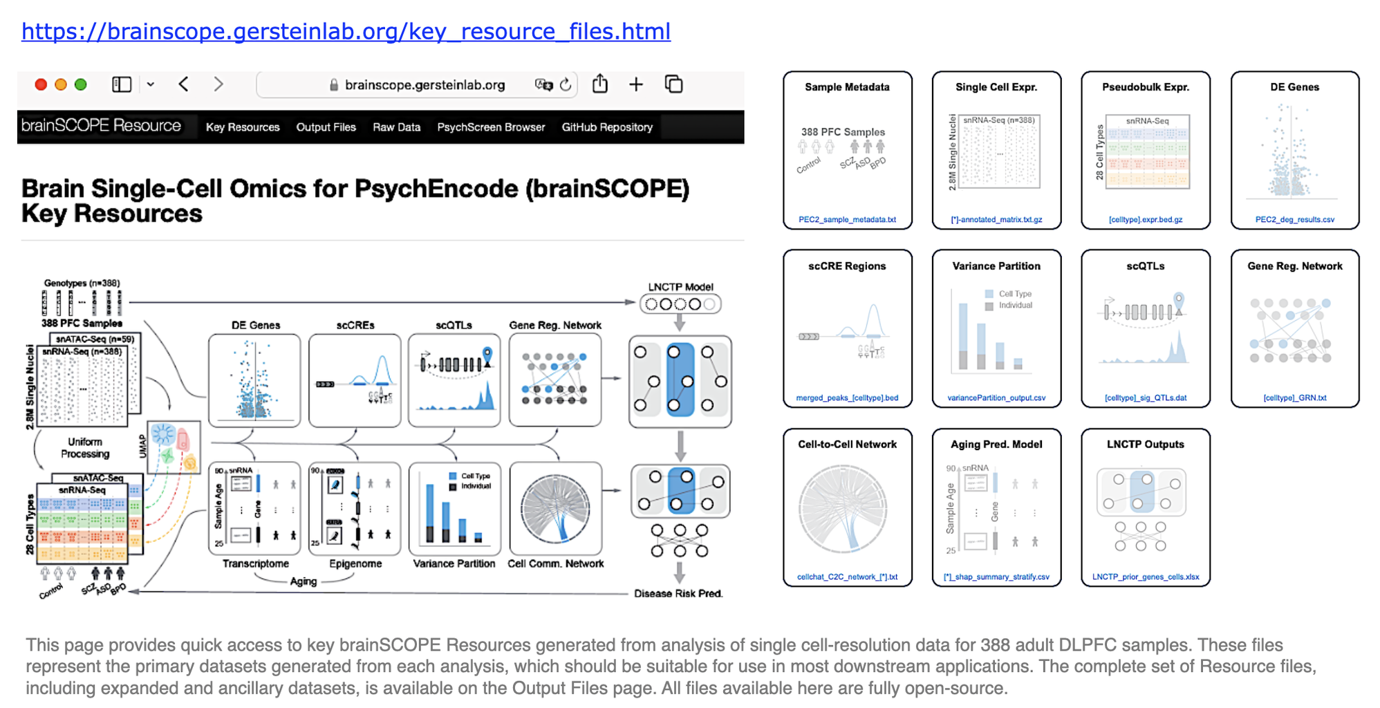 388のヒト脳における単一細胞ゲノミクスと遺伝子ネットワーク (原著論文と展望記事) : crisp_bio