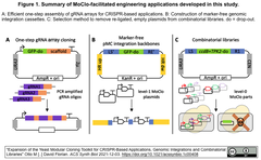 Yeast MoClo toolkitの拡張 : crisp_bio