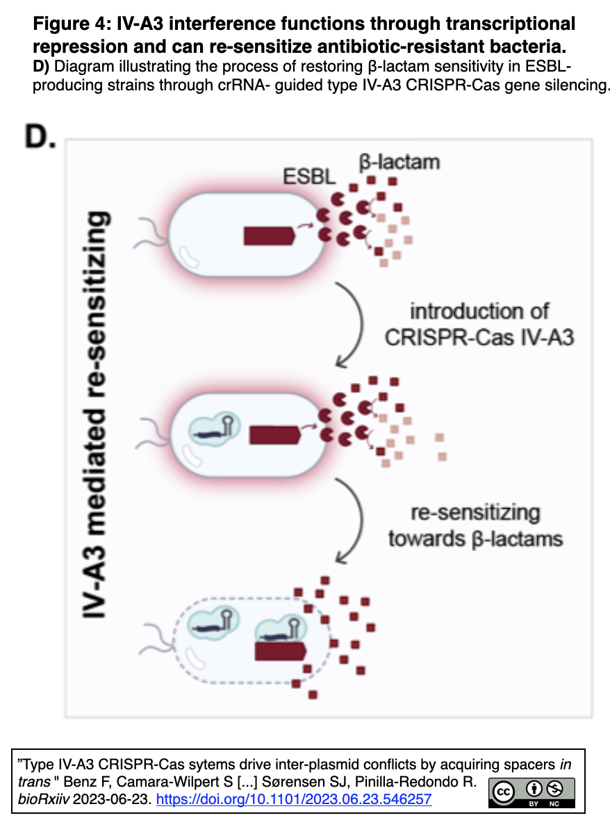 プラスミドにコードされたタイプIV-A3 CRISPR-Casシステムは, スペーサの獲得に宿主のCas1/2を利用する : crisp_bio