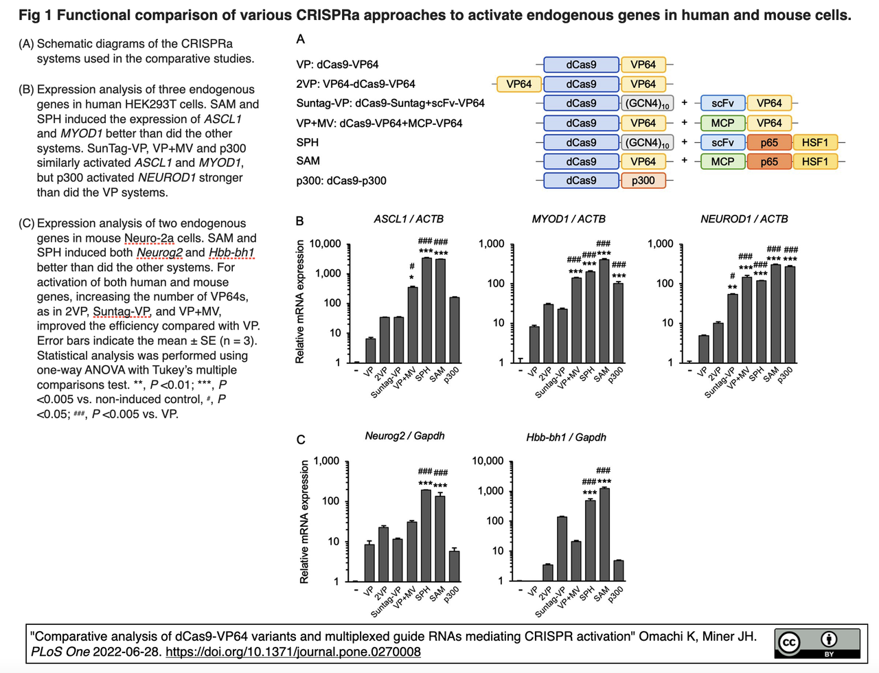 dCas9-VP64のバリアントを比較解析と多重化gRNAsを介したCRISPRa : crisp_bio