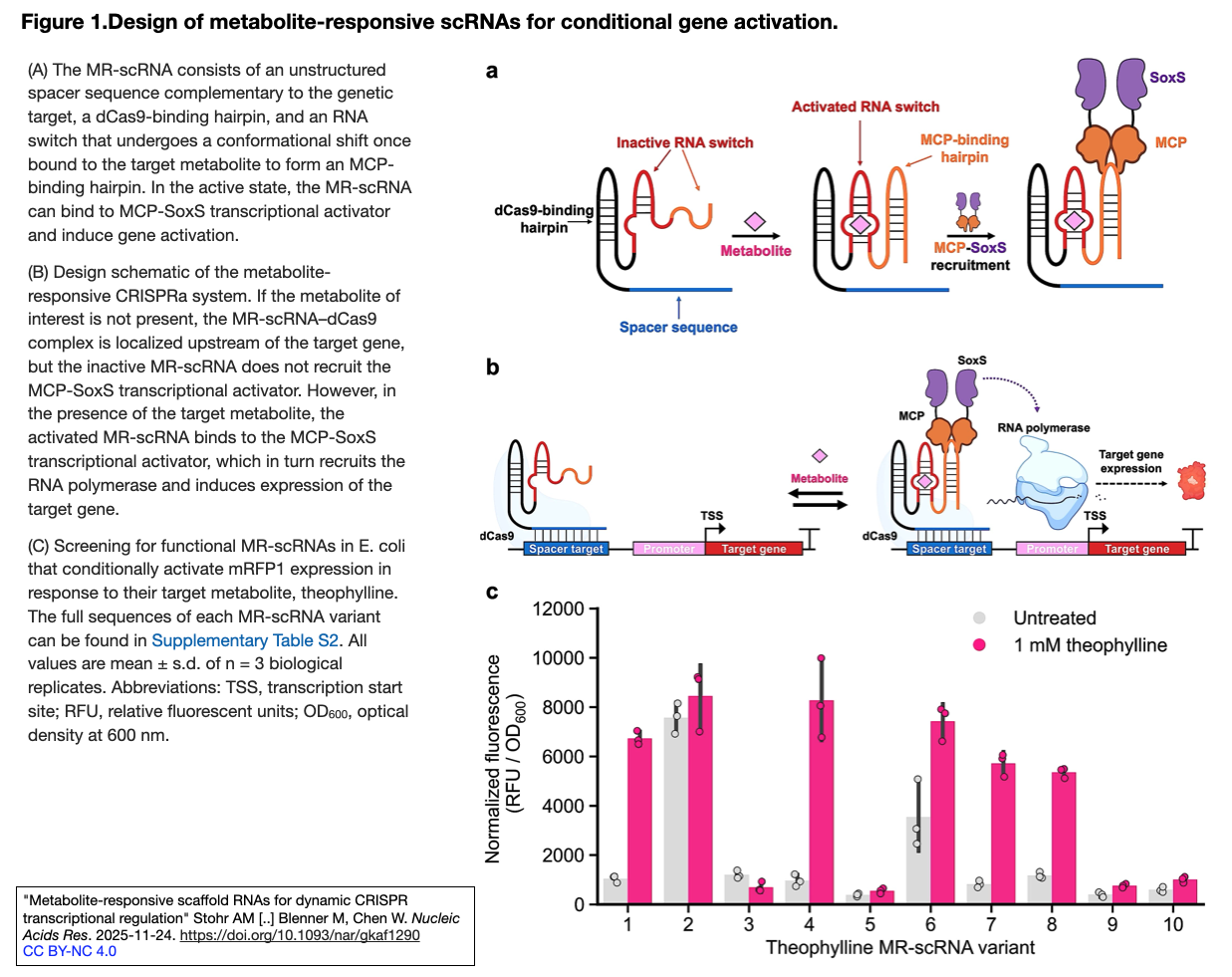 動的CRISPR転写制御を実現する代謝物応答性スキャフォールドRNAを設計・実装 : crisp_bio