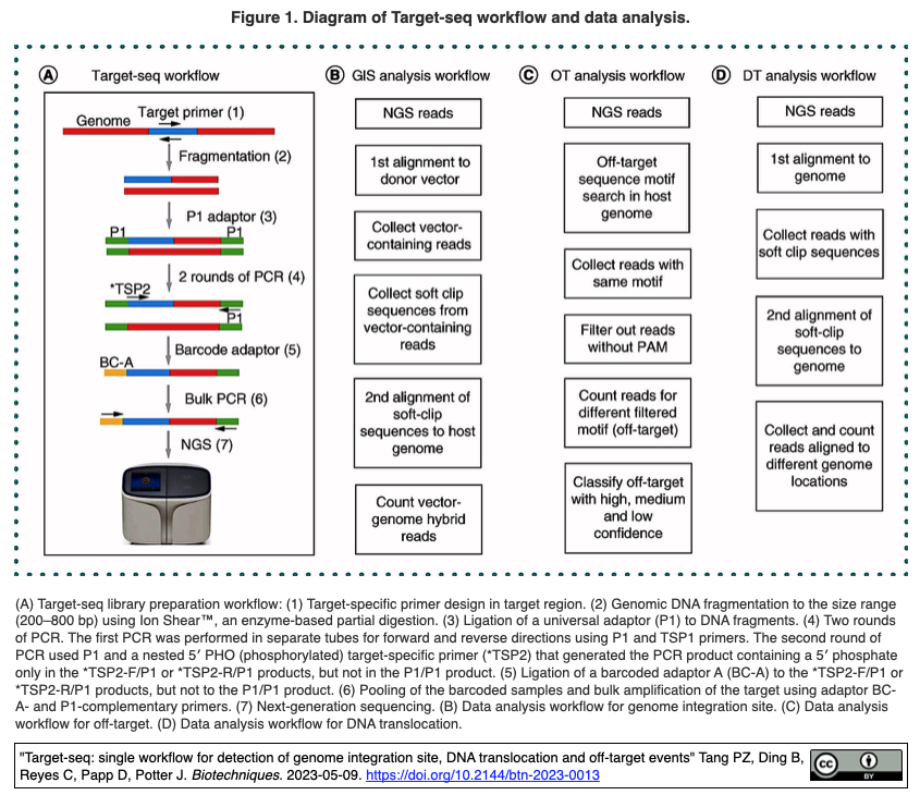 Target-seq: ゲノム統合部位、DNA転座、およびオフターゲットの全てを検出する法 : crisp_bio