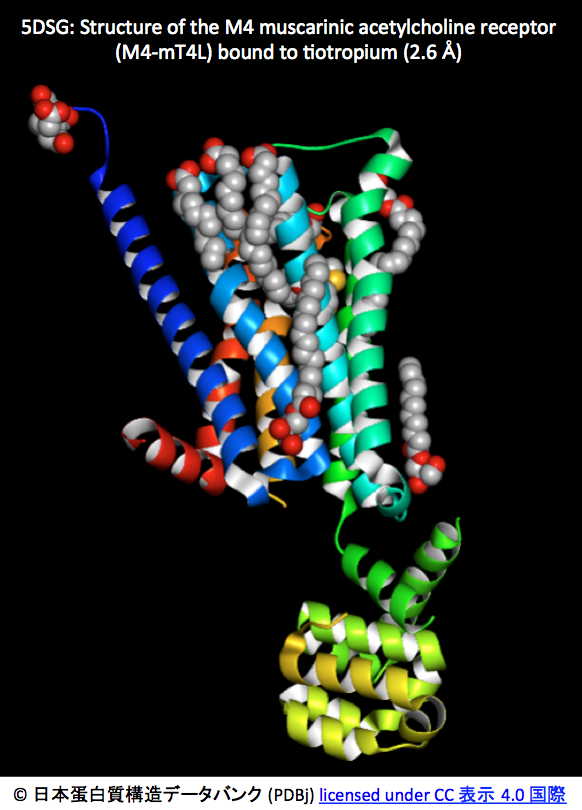 ムスカリン性アセチルコリン受容体のアロステリック作用機序：サブタイプM1とM4の結晶構造 : crisp_bio