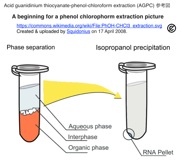 RNA-タンパク質相互作用の網羅的解析を任意の生物について可能にする手法の開発と実証 : crisp_bio