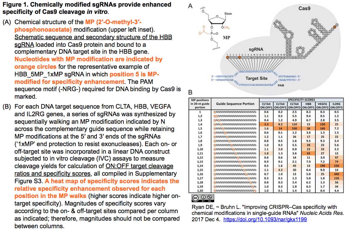 CRISPRメモ_2017/12/11（sgRNA化学修飾、Cpf1 RNP&ssDNA、gRNA構造最適化、臓器移植ブタなど14件 ...