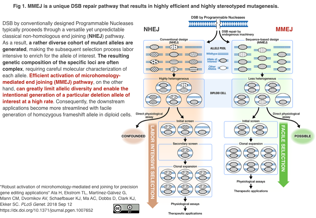 CRISPRメモ_2018/09/25 (3件） : crisp_bio