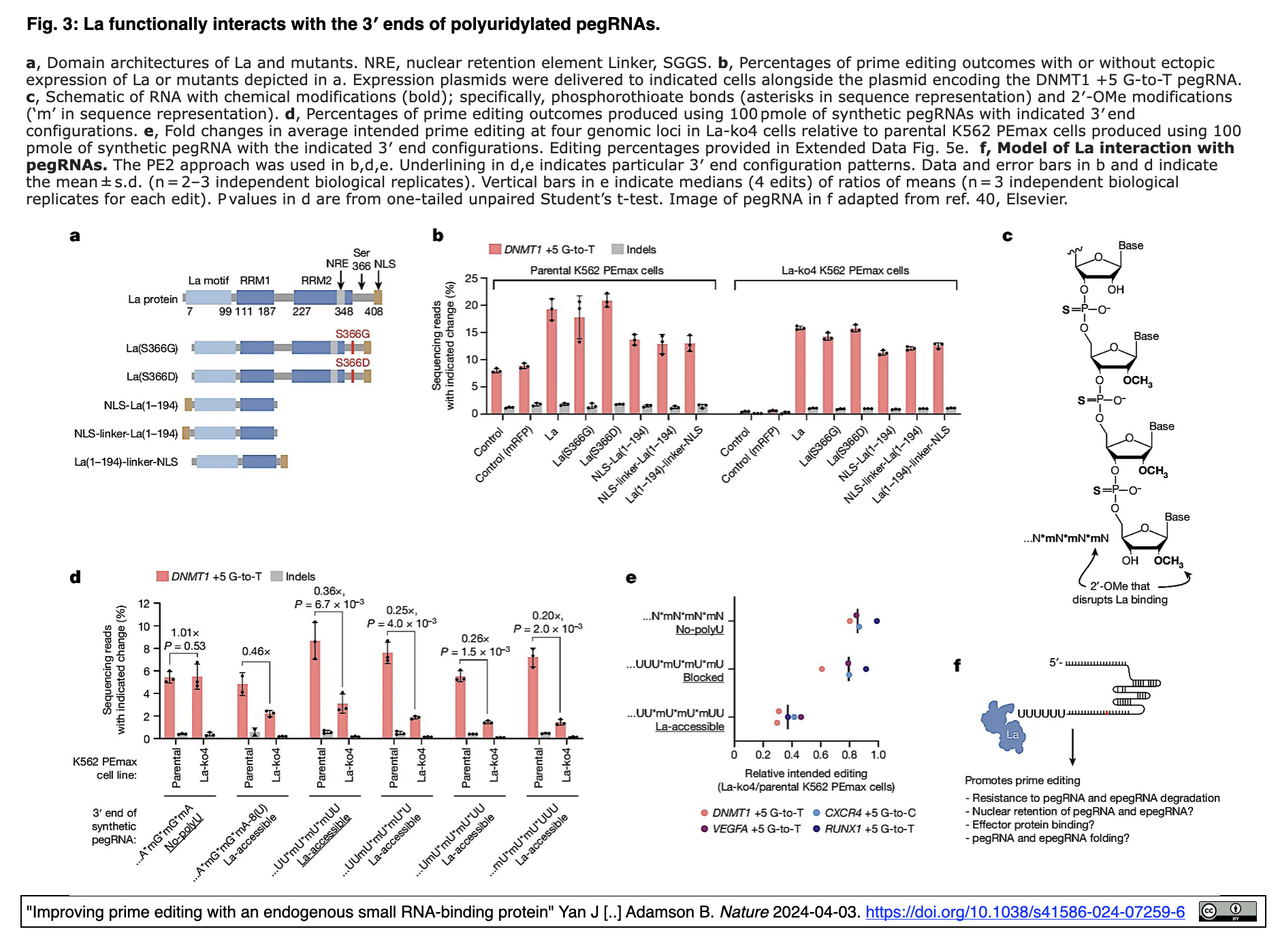 プライム編集 (PE) を改善する細胞内在因子を発見・利用 : crisp_bio