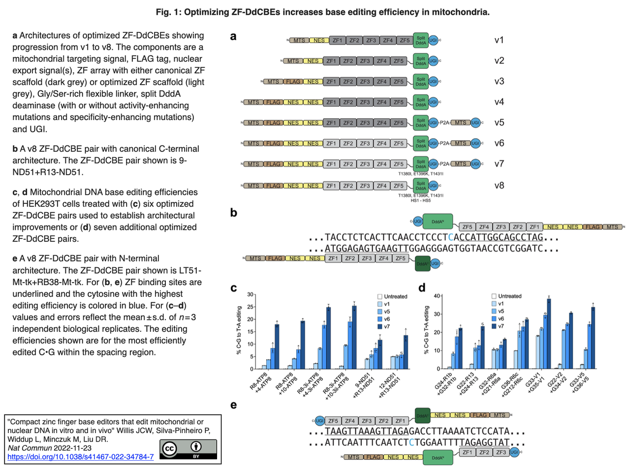 デアミナーゼにジンクフィンガーを組み合わせた塩基エディター [Liuバージョン] : crisp_bio