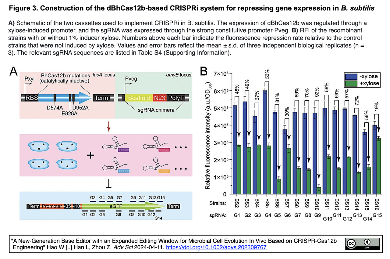CRISPR-Cas12bの編集ウィンドウを拡大した新世代の塩基エディターによる生体内微生物細胞進化 : crisp_bio