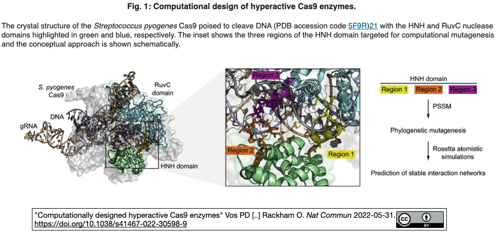 酵素工学の計算手法として開発されたFuncLibを利用して，ハイパーアクティブなTurboCas9を開発 : crisp_bio
