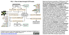 CRISPRアレイの同定から比較そして進化系解析まで統合したコマンドラインのツールキットCCTK : crisp_bio