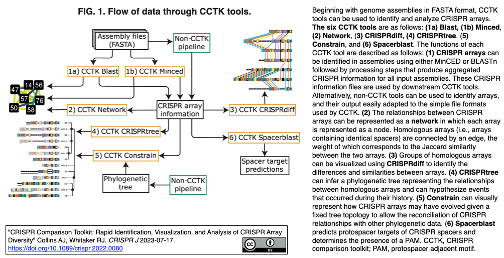 CRISPRアレイの同定から比較そして進化系解析まで統合したコマンドラインのツールキットCCTK : crisp_bio