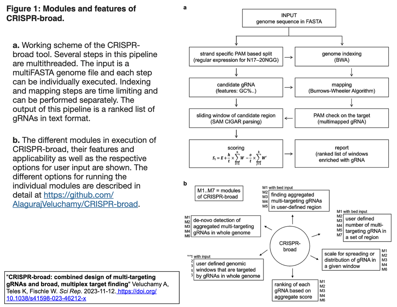 CRISPR-broad：マルチターゲティングgRNAsの設計と広範なマルチプレックス標的探索の組み合わせ : crisp_bio
