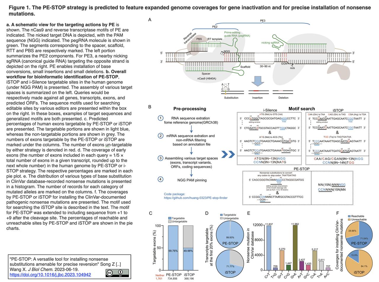 PE-STOP：プライム編集を利用してアミノ酸コドンをSTOPコドンへと精密変換することで、タンパク質をノックアウトする手法 : crisp_bio