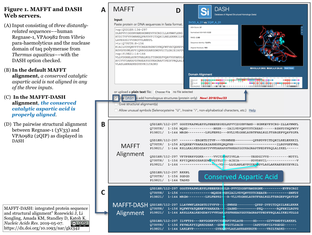 MAFFT-DASH: 配列ホモロジーが弱い構造もホモロジーモデリングに利用可能とするWebサービス登場 : crisp_bio