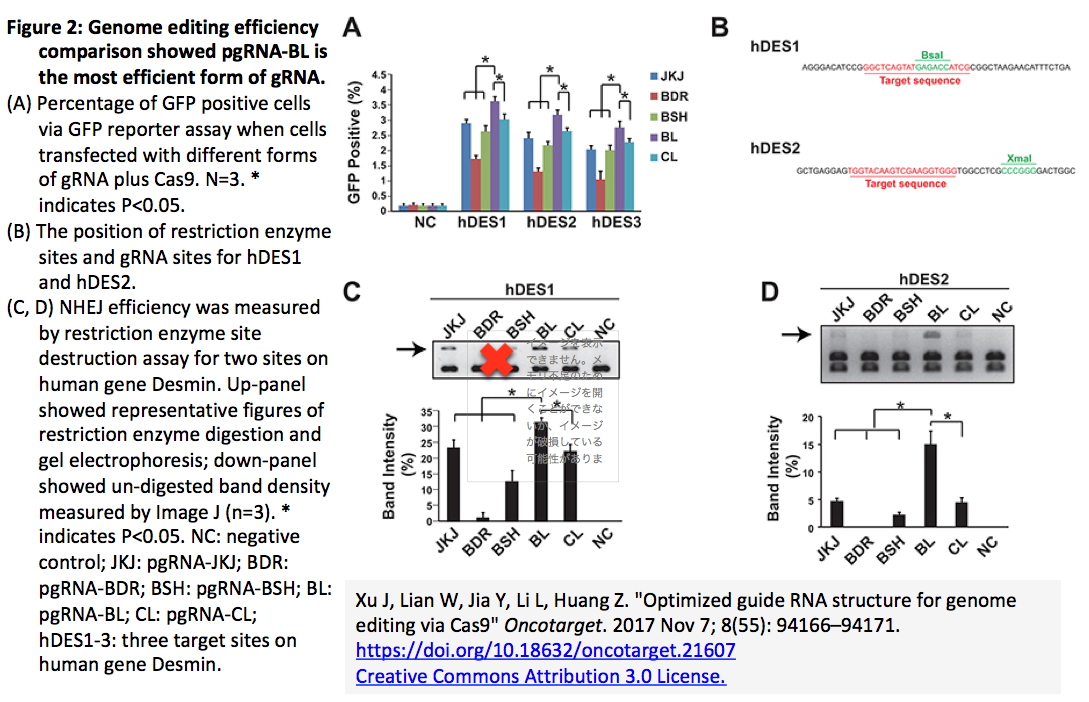 CRISPRメモ_2017/12/11（sgRNA化学修飾、Cpf1 RNP&ssDNA、gRNA構造最適化、臓器移植ブタなど14件 ...