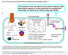 現代に最も近いあらゆる生物の共通祖先 (LUCA)の特性と初期地球システムへの影響 : crisp_bio