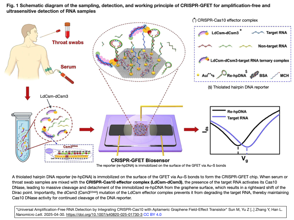 CRISPR-Cas10とアプタマー・グラフェン電界効果トランジスタとの統合による増幅不要の汎用的RNA検出法 : crisp_bio