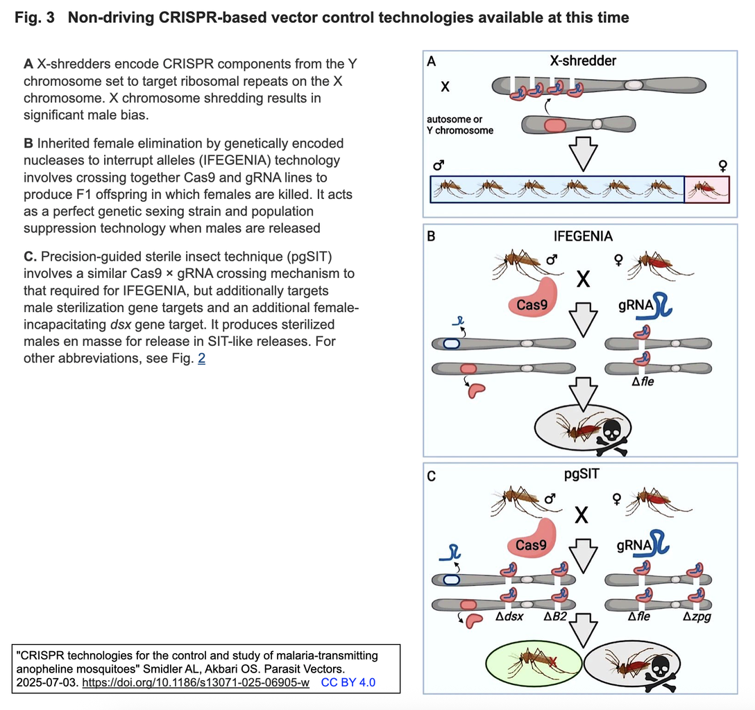 [総説] マラリアを媒介するハマダラカを研究し制御するためのCRISPR技術 : crisp_bio
