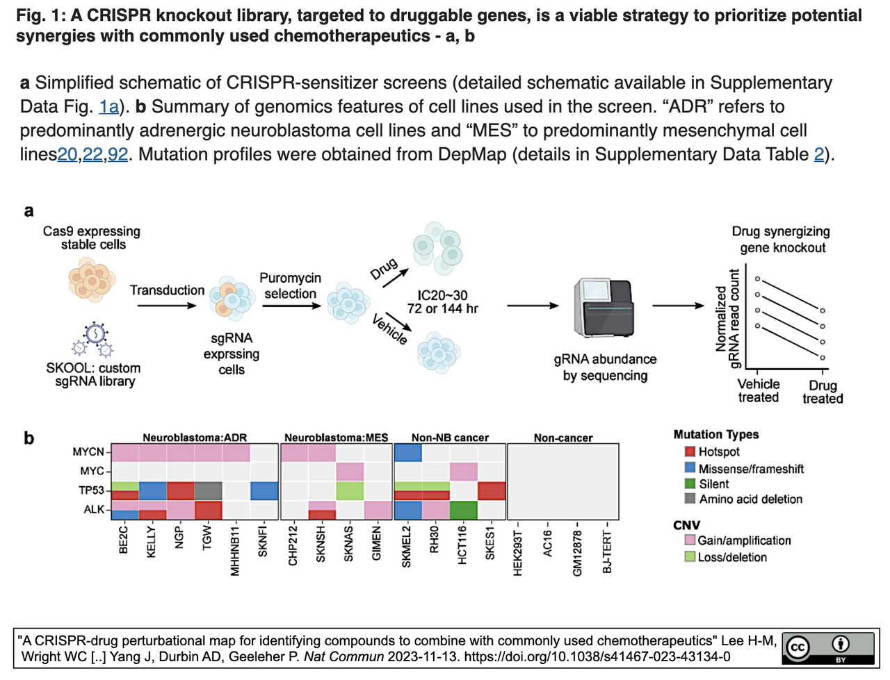 一般的な化学療法薬と併用する化合物の同定を支援するCRISPR・薬剤摂動マップ : crisp_bio