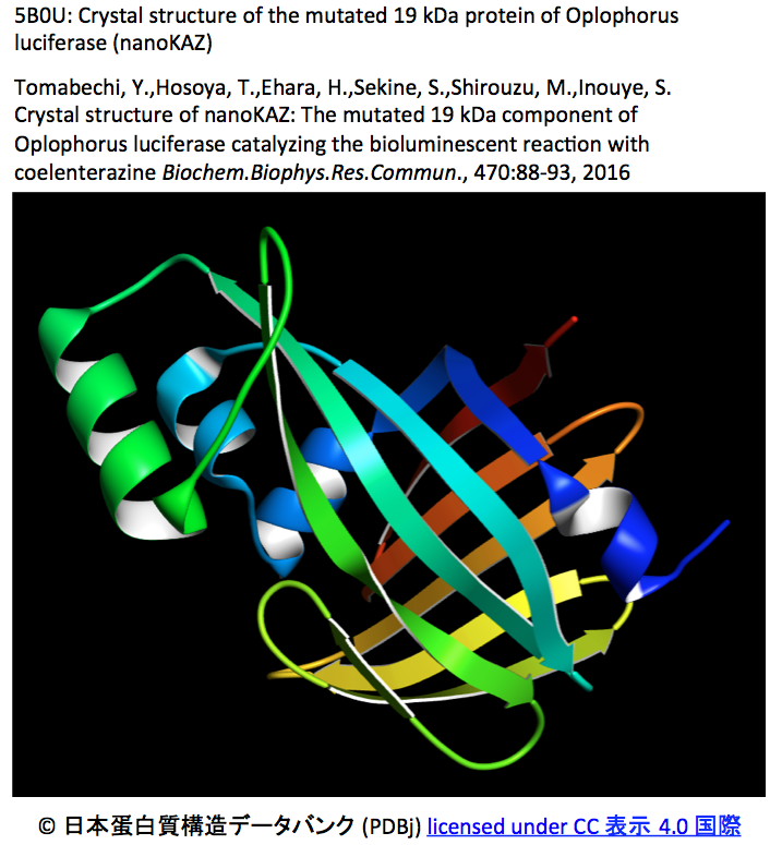 [PDIS]nanoKAZ：セレンテラジンを基質とするOplophorus ルシフェラーゼの生物発光 : crisp_bio