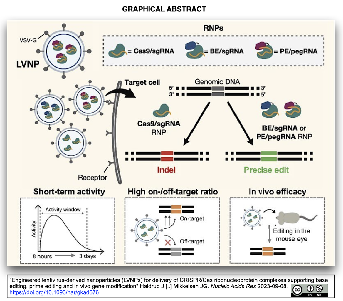 CRISPR/Cas9 RNP, BE, PEによる生体内遺伝子改変を可能にするレンチウイルス由来ナノ粒子を開発 : crisp_bio