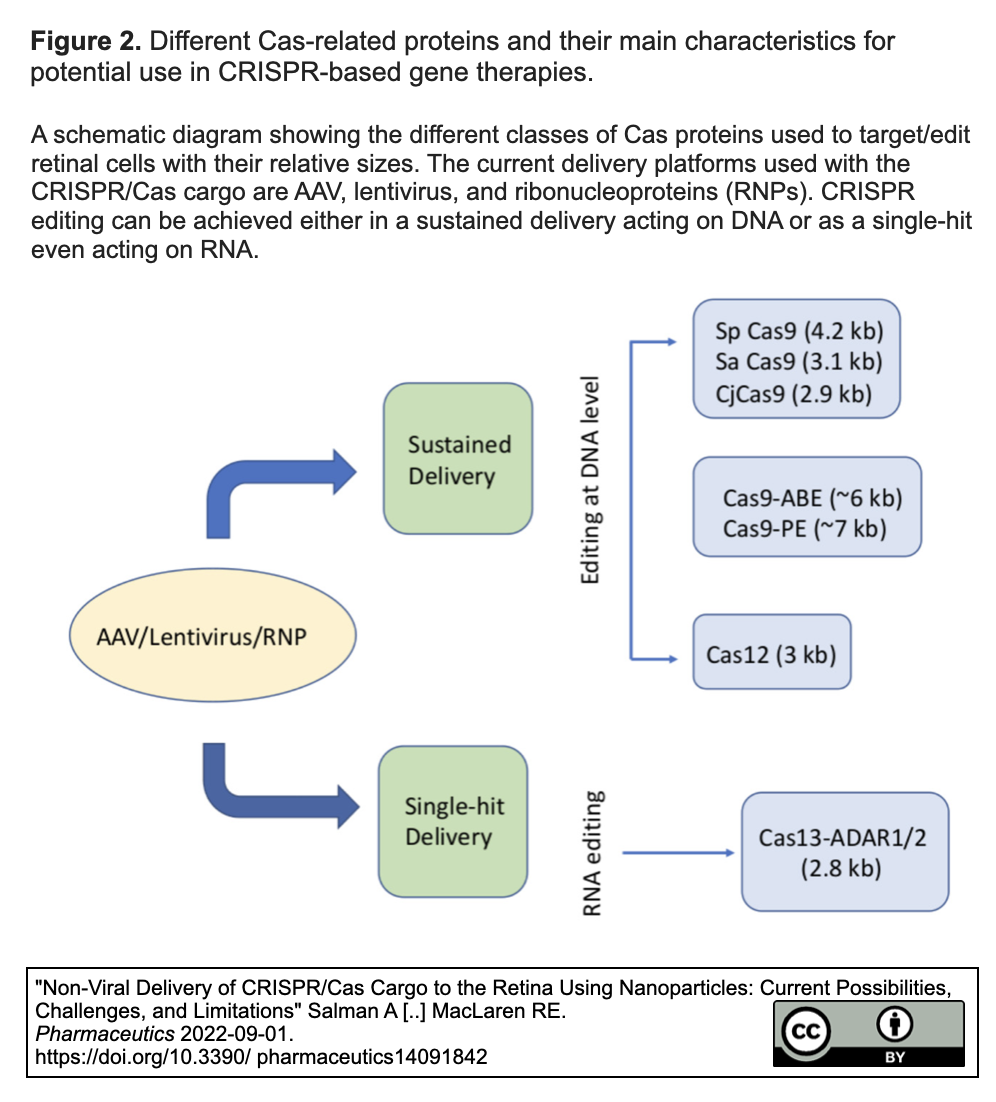 [レビュー] CRISPR/Casカーゴのナノ粒子による非ウイルス性送達法 - 可能性、課題、および限界 : crisp_bio