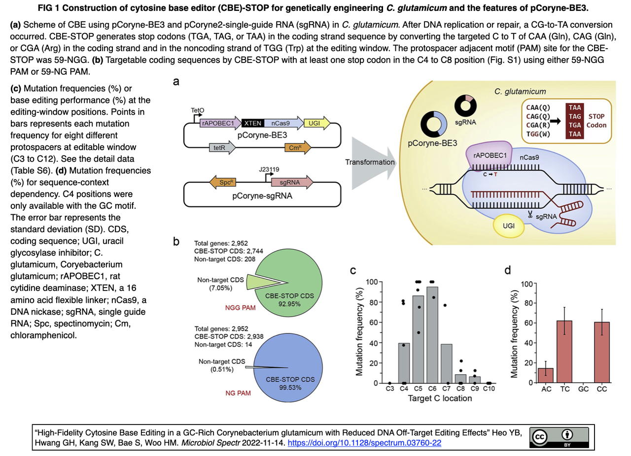 HF-CBE-STOP法を開発して、産業上有用なコリネ菌の精密多重遺伝子ノックアウトを実現 : crisp_bio