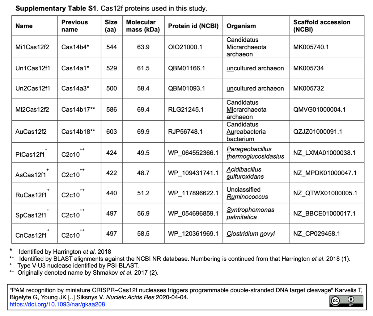 コンパクトなCRISPR-Cas12fから、よりコンパクトで強力なeCas12f-sgRNAを作出 : crisp_bio